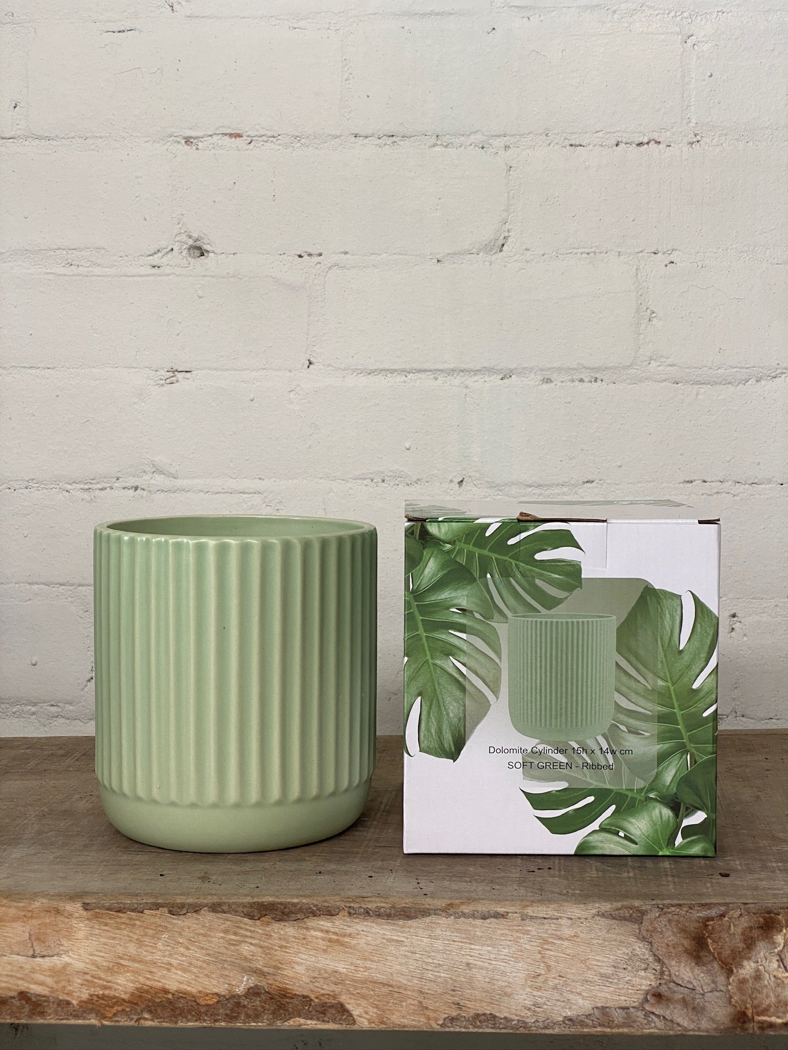 Dolomite- Ribbed pot | The Borrowed Nursery