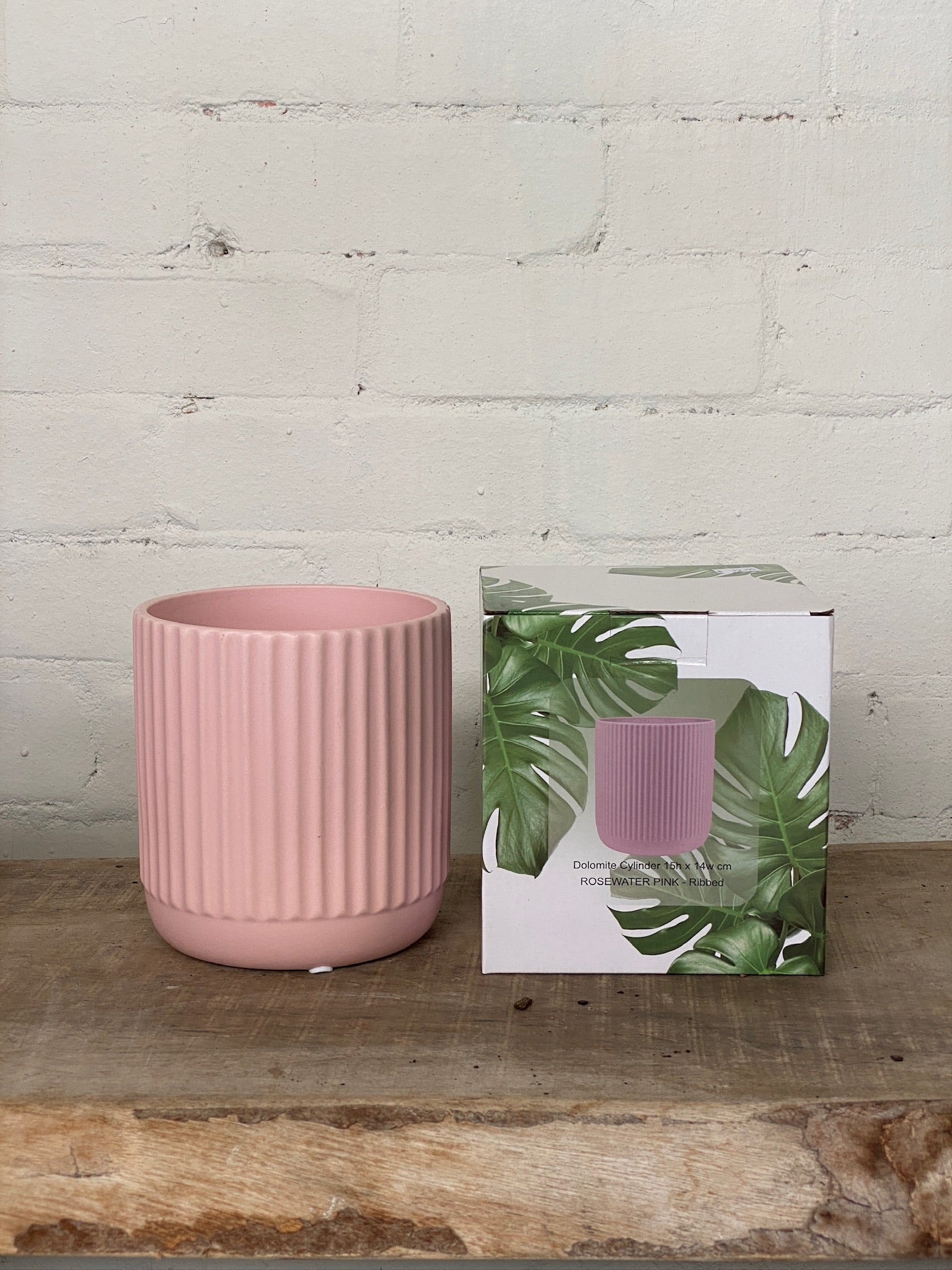 Dolomite- Ribbed pot | The Borrowed Nursery