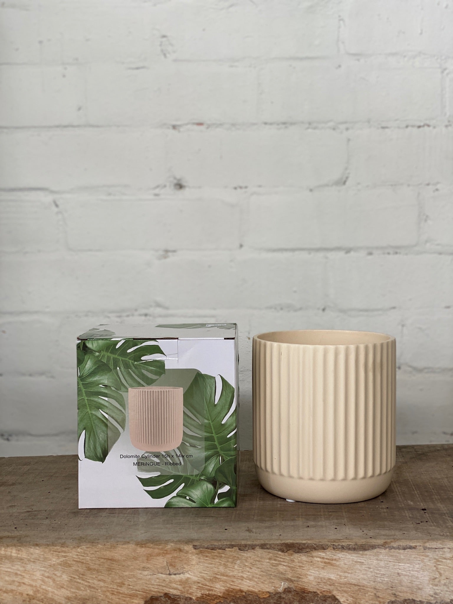 Dolomite- Ribbed pot | The Borrowed Nursery