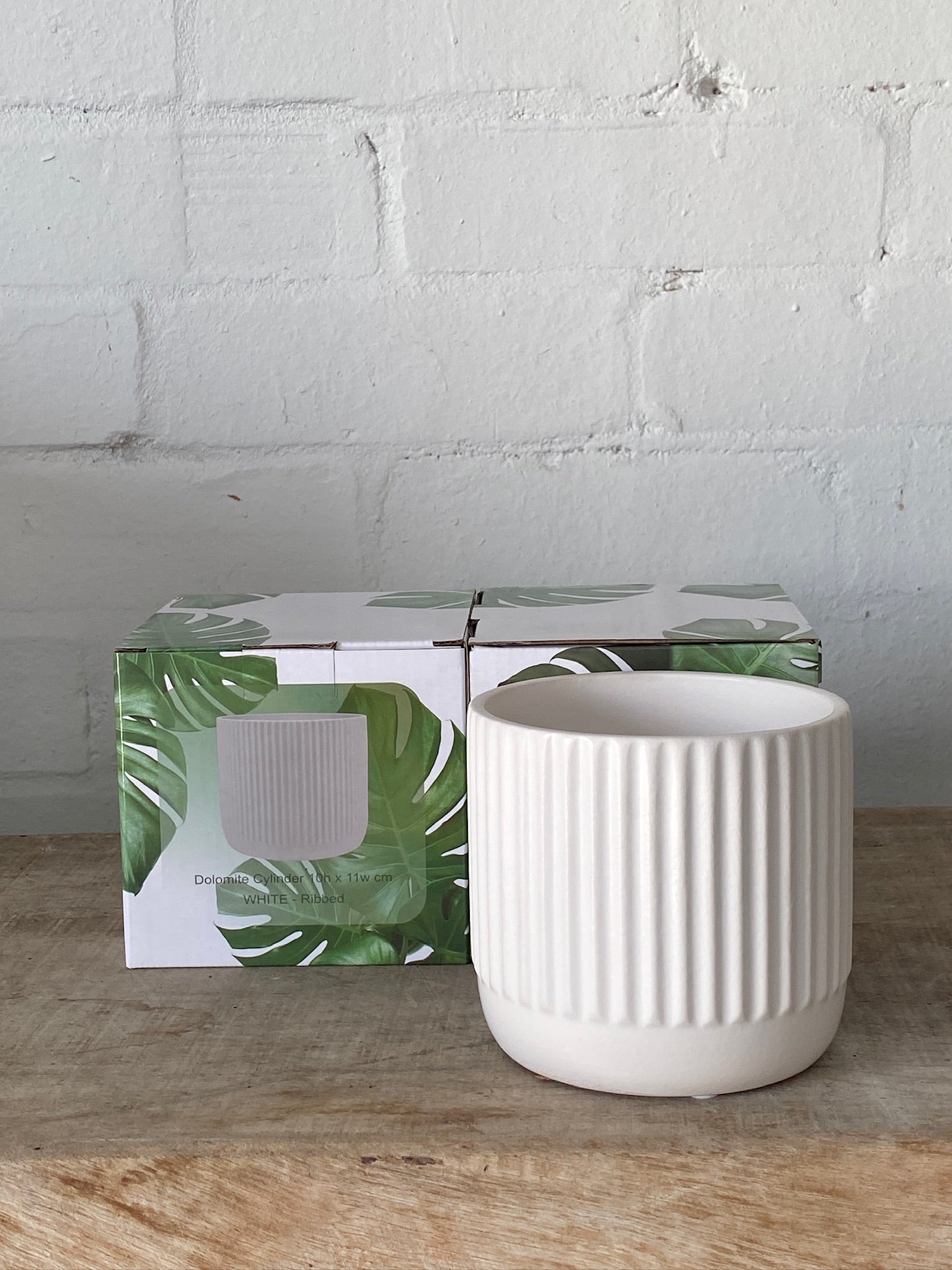 Dolomite- Ribbed pot | The Borrowed Nursery