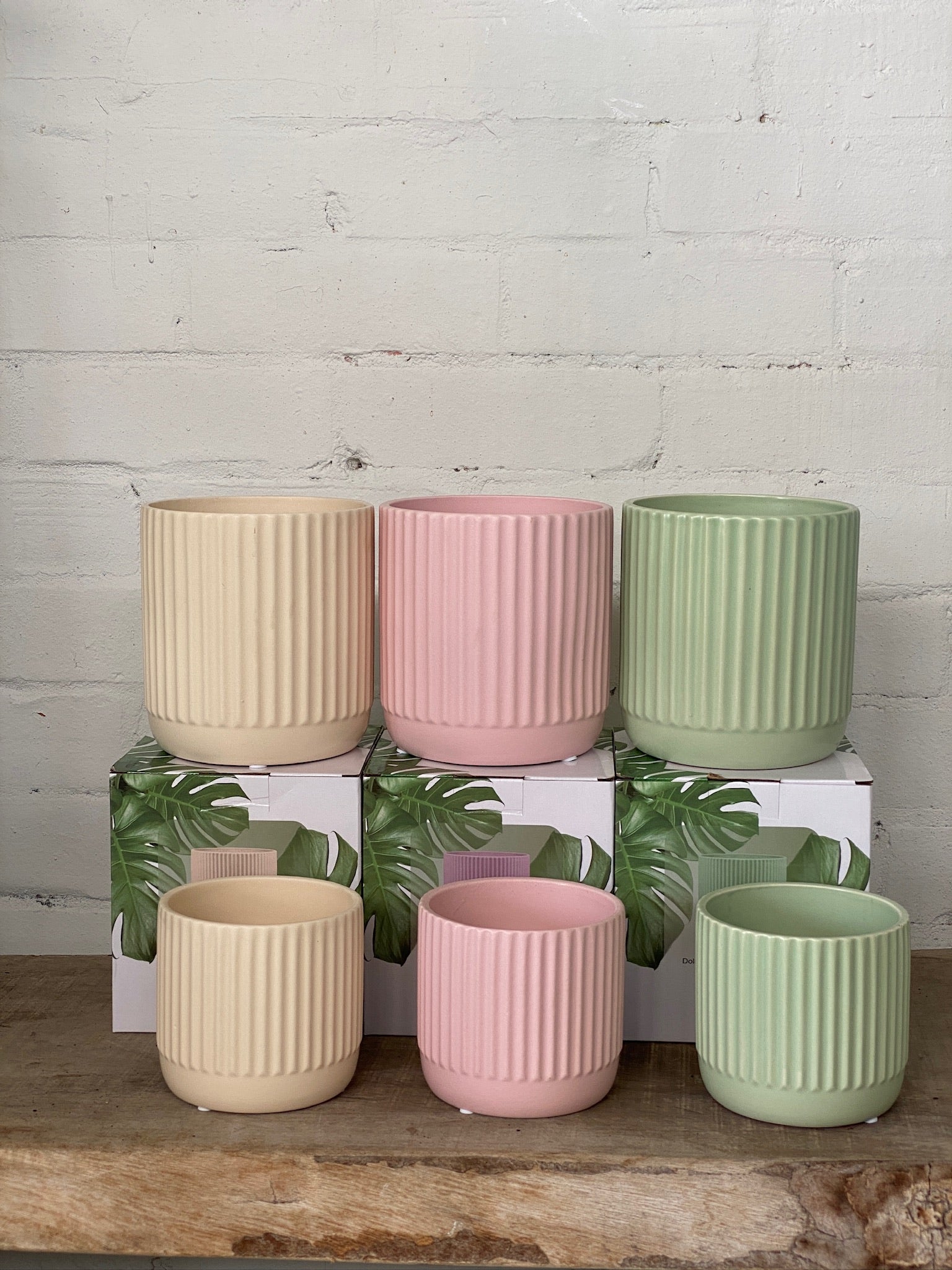 Dolomite- Ribbed pot | The Borrowed Nursery