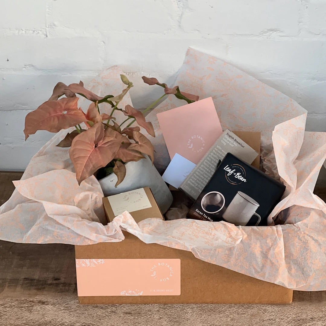 Gift box - Base Edition 2 | The Borrowed Nursery