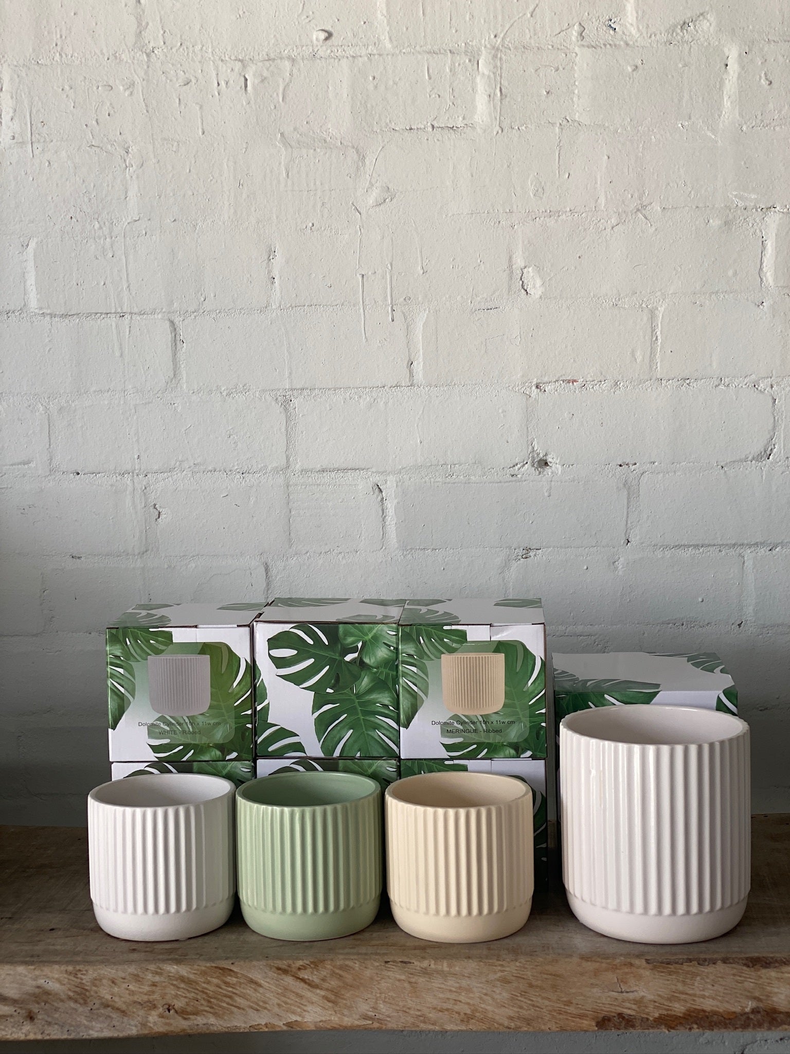 Dolomite- Ribbed pot | The Borrowed Nursery