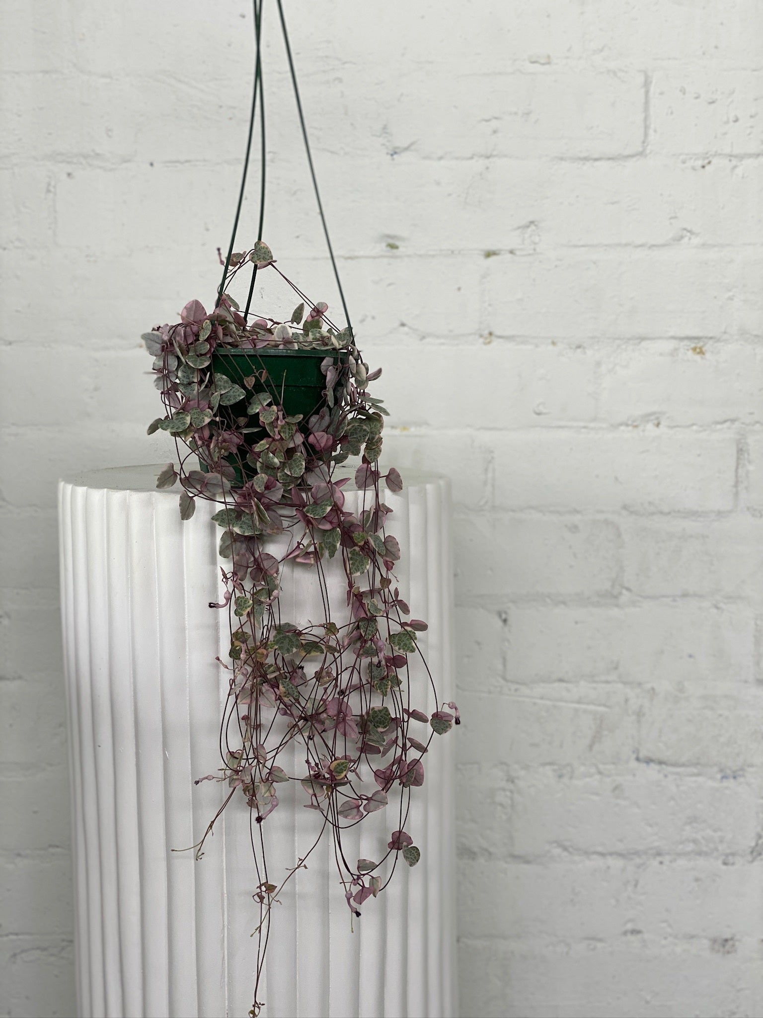 Chain Of Hearts | The Borrowed Nursery